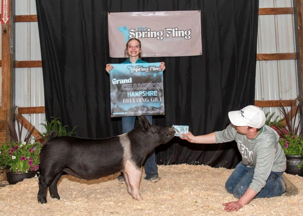 Example | Shaffer’s Goldrush