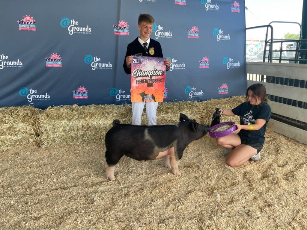 High Five | Shaffer’s Goldrush