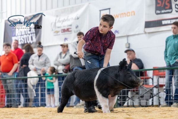 Example | Shaffer’s Goldrush