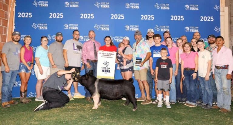 Champions | Shaffer’s Goldrush